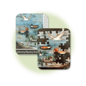 Early Bird – Connecting children to birds