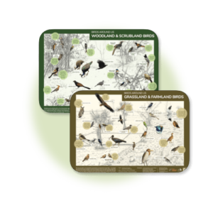 Early Bird – Connecting children to birds